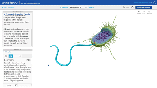 Increase Student Engagement Online with Premade Courses in Visible Body Courseware